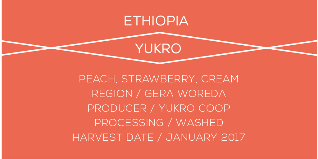 YUKRO-ETHIOPIA-_CASE-COFFEE_1024x1024.png?v=1531369877